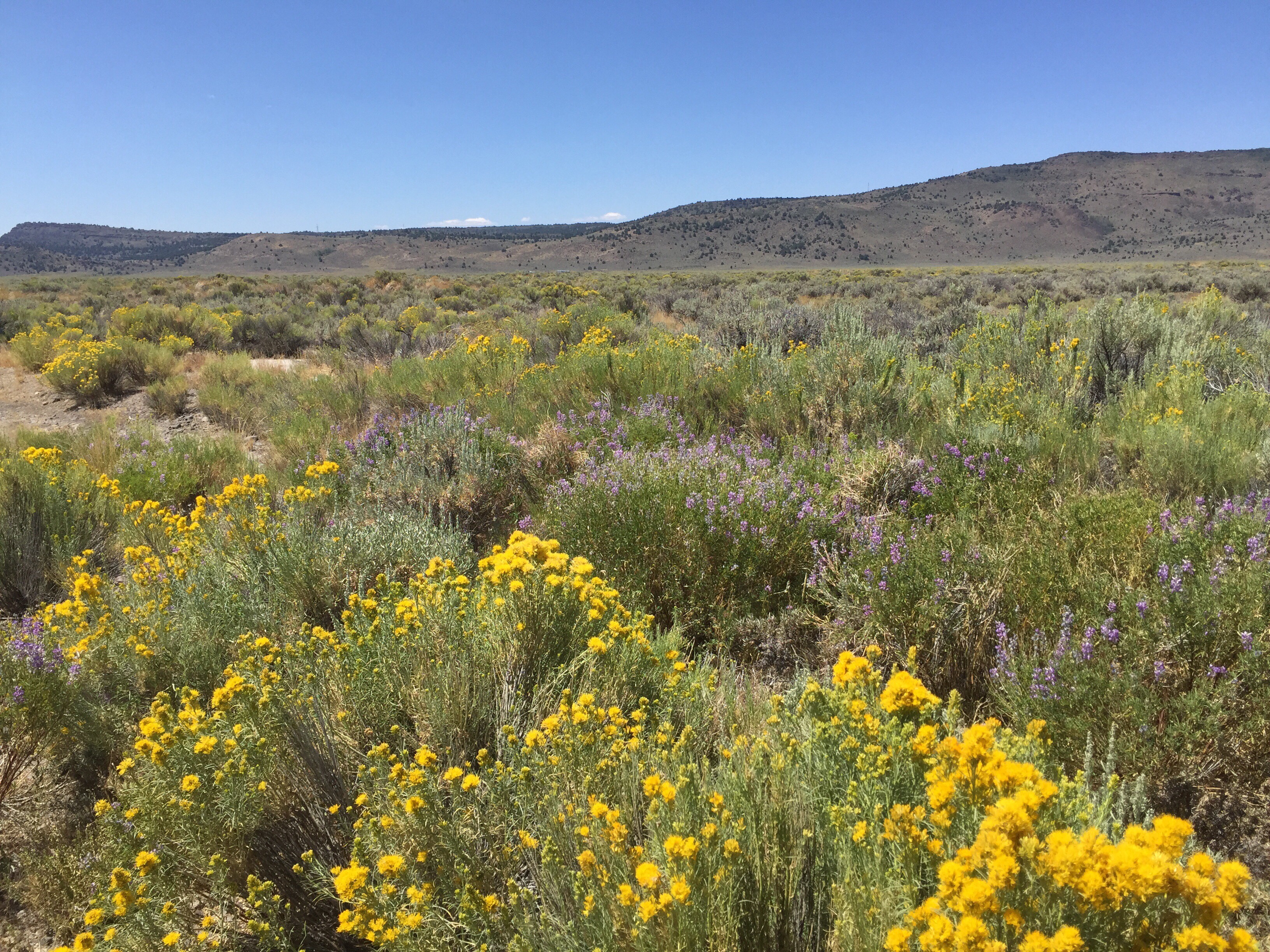 Backcountry Exploring – Modoc National Forest, Cave Lake campground ...
